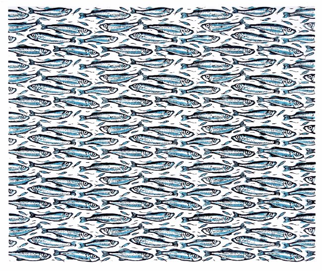 Emily Feaver Artist : Repeat Pattern Designs